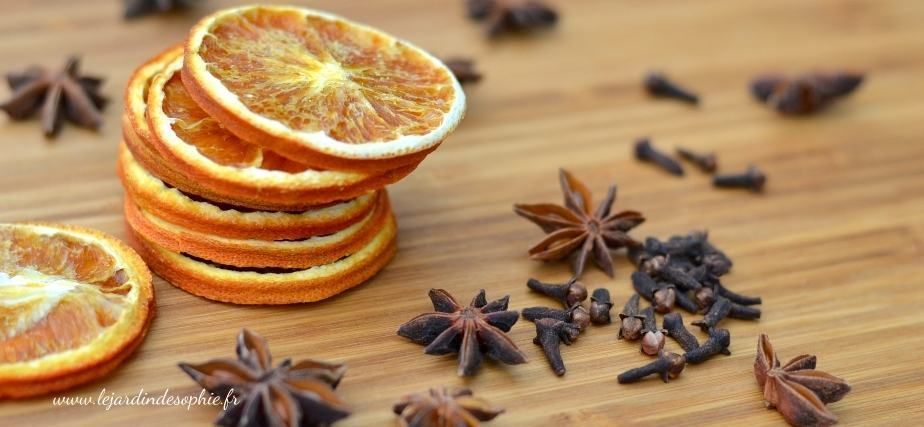 Epices, fruits - Naturel - Art floral et décoration