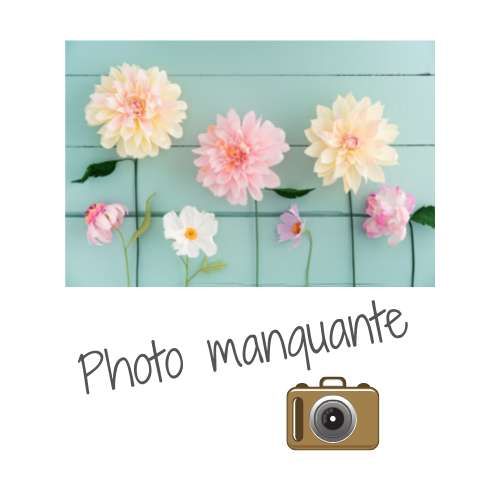 Tarte Oasis en mousse florale - Art floral et décoration